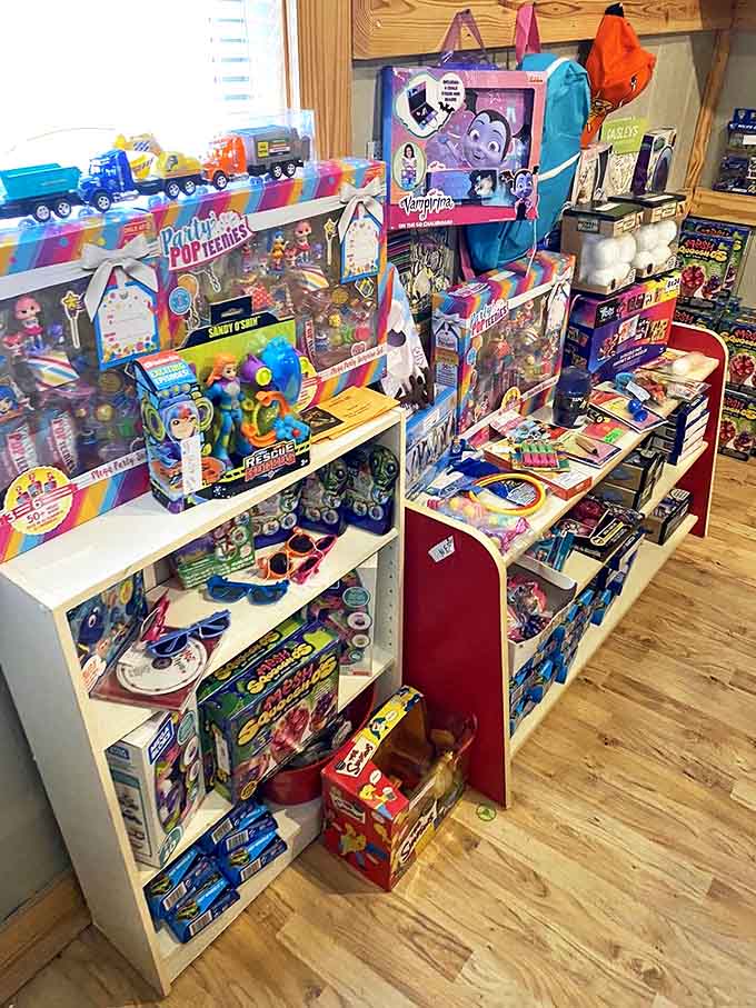 Modern toys mingle with nostalgic treasures, creating a colorful playground where multiple generations can point and say, "I had that!"