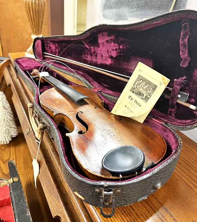 A violin with history nestled in purple velvet. Someone once played moonlight sonatas on these strings&mdash;now it could be your turn.