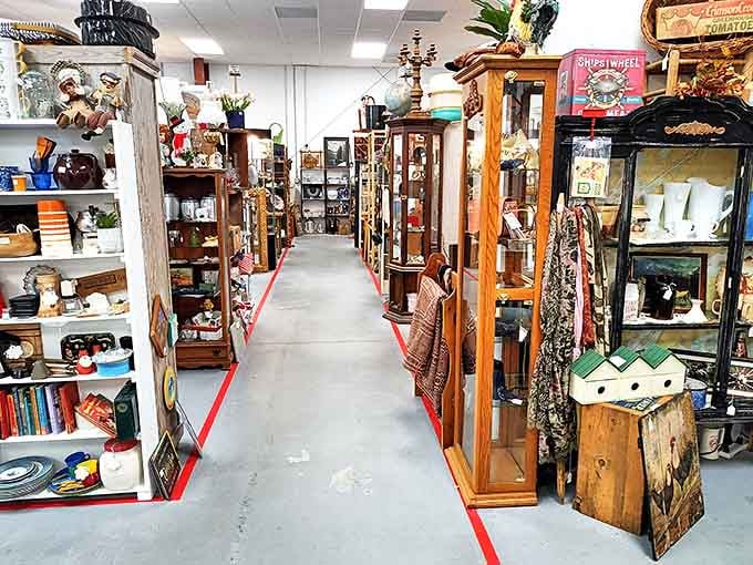 Red-lined pathways guide you through a forest of display cases. Like following the yellow brick road, except every stop offers something more interesting than ruby slippers.