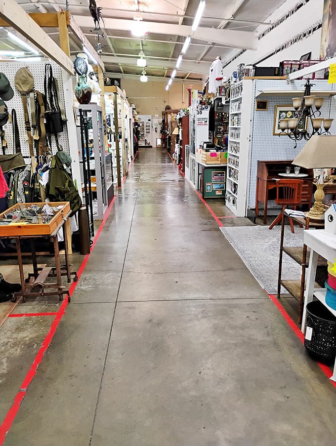 The red-lined pathways serve as your yellow brick road through this wonderland of collectibles. Follow them to unexpected treasures!