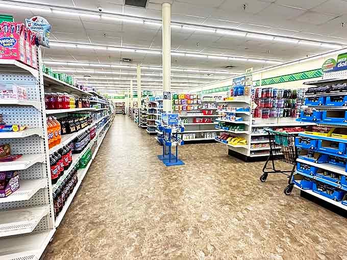 The fluorescent-lit promised land where every aisle offers a new category of affordable possibilities and practical solutions.