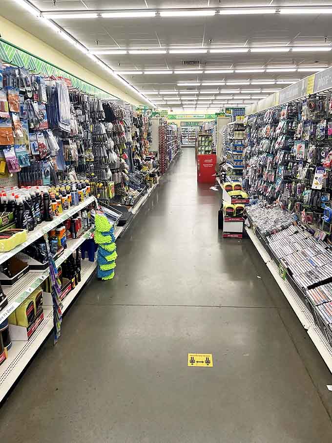 The household goods aisle – where organization dreams come true and "I'll just grab one thing" turns into a cart full of practical solutions.