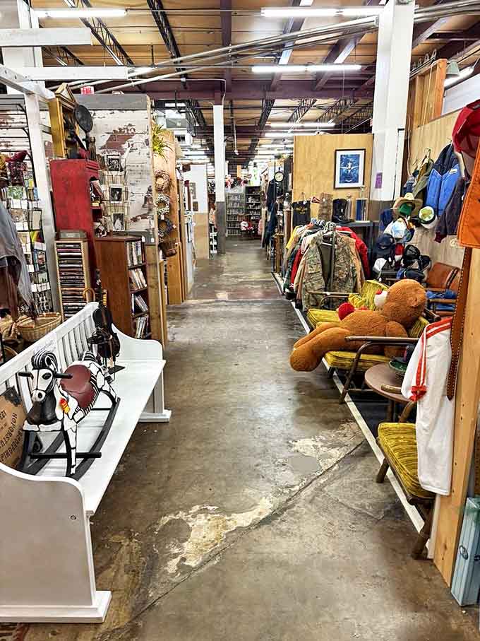 Walking these aisles feels like exploring the world's most organized attic, where every turn reveals something you didn't know you needed.