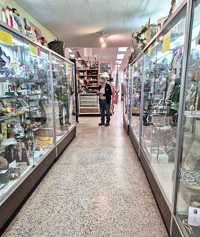 Glass cases lining a corridor of curiosities, where every shelf holds potential heirlooms waiting for their next chapter.