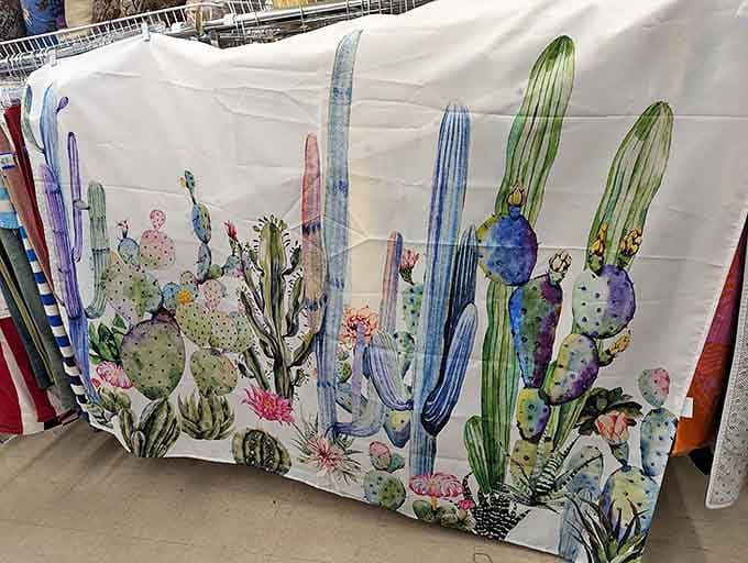 Desert-inspired home decor that screams "I live in Nevada but I'm not going full casino carpet in my living room."