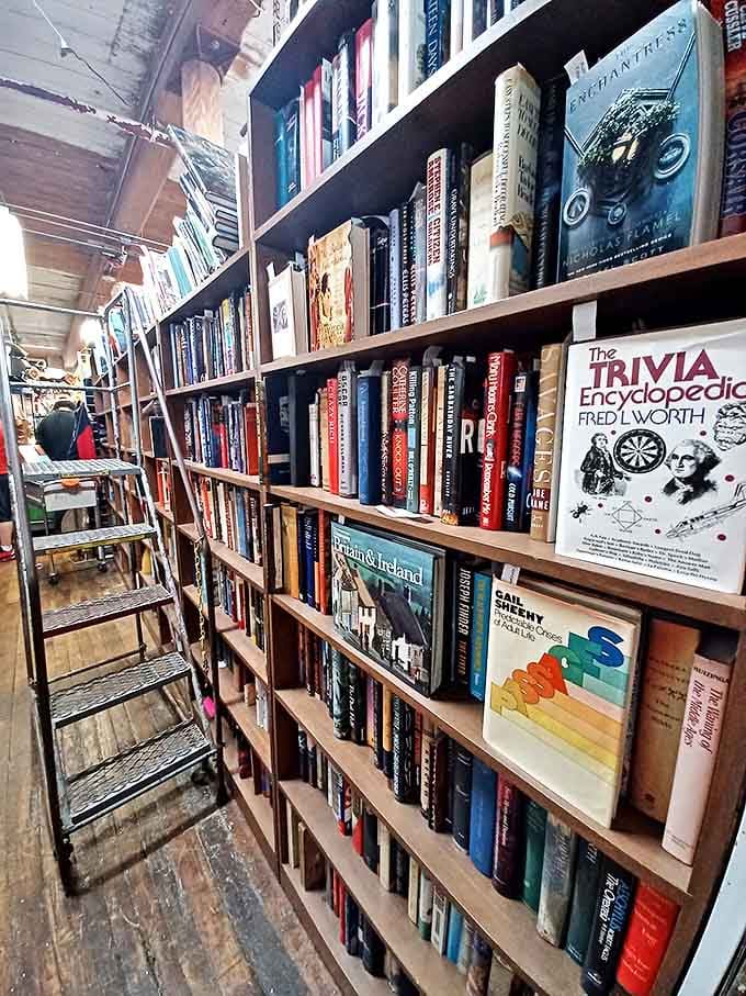 The analog internet of ideas. These shelves don't just hold books&mdash;they contain entire universes, waiting to be discovered without a single Wi-Fi password.