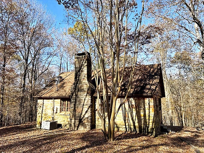 CCC-built cabins blend so perfectly with their surroundings, they look like they grew from the forest floor alongside the trees.