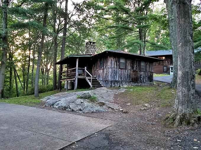 Rustic cabins nestled among towering pines – where "roughing it" still includes a roof and walls, thankfully.