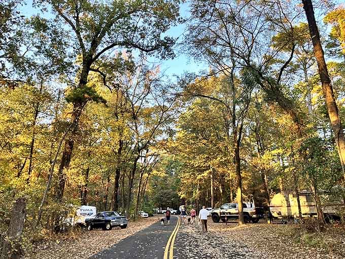 Fall camping: when Mother Nature turns the color saturation up to 11 and makes even your ordinary sedan look Instagram-worthy.