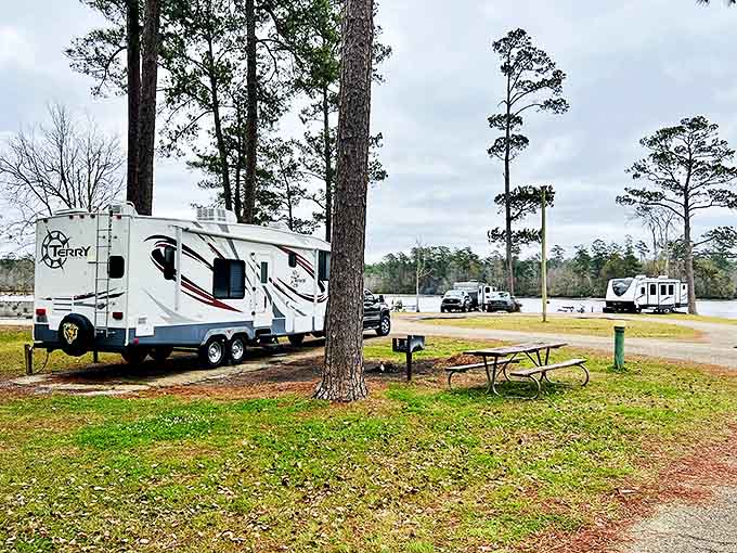 RV heaven under Mississippi pines. The perfect blend of wilderness and convenience—nature with electrical hookups is hardly roughing it.