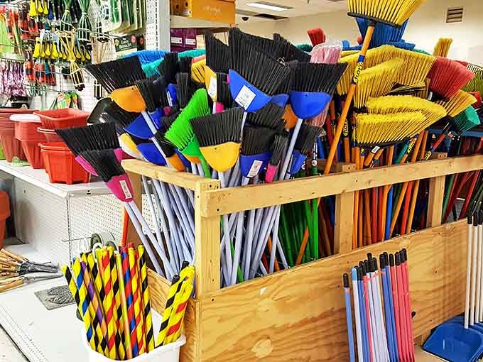 A rainbow coalition of brooms stands at attention, ready to tackle everything from light dusting to evidence removal after particularly messy dinner parties.