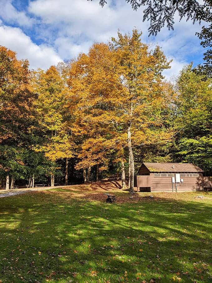 Fall's golden touch transforms this rustic park building into something from a storybook&mdash;proof that nature is still the world's best decorator.