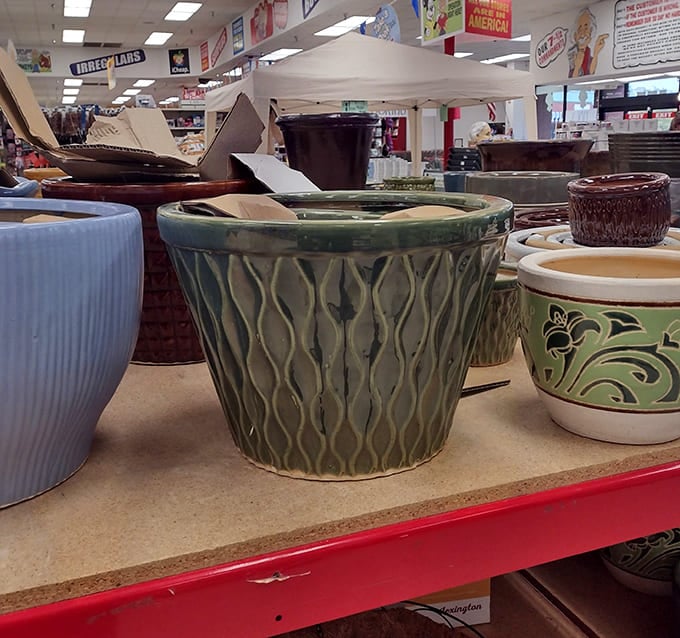 Garden pots with personality line the shelves, proving that even your plants can live luxuriously without draining your wallet.