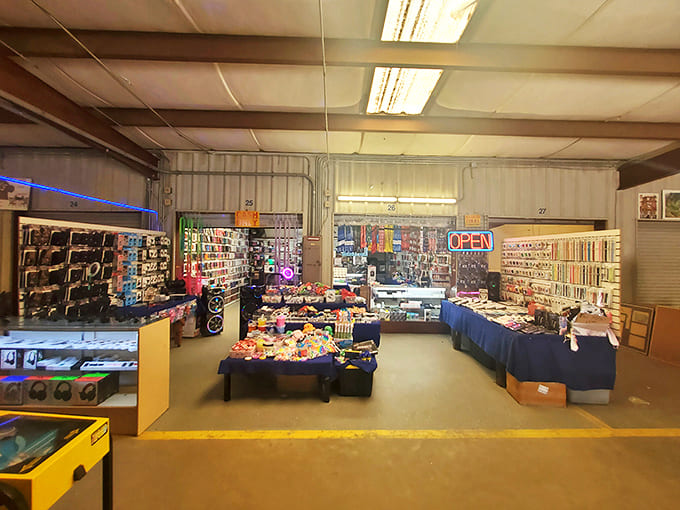 Toys, trinkets, and treasures as far as the eye can see. This indoor section offers climate-controlled comfort for serious browsing sessions.