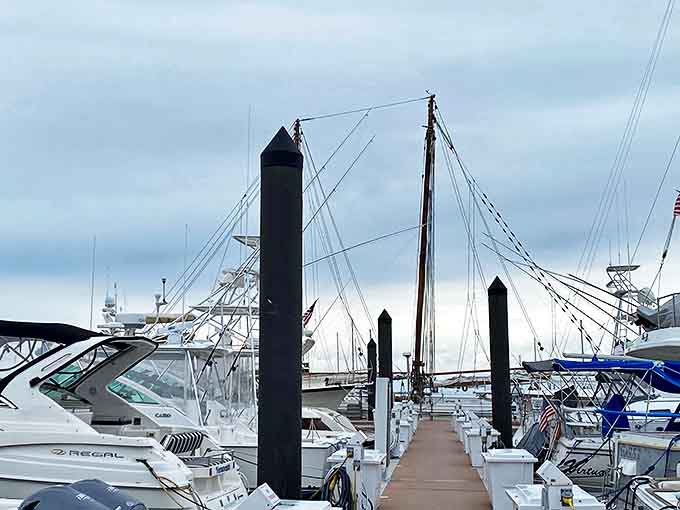 Where weekend captains dock their dreams. The marina offers water access that would cost millions just an hour north.