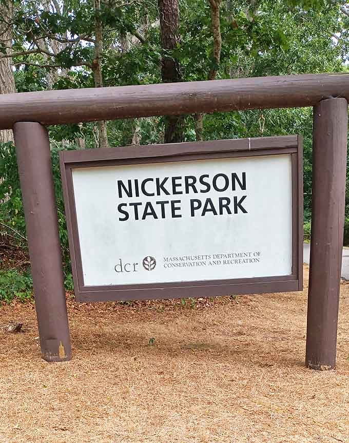 The unassuming entrance sign belies the wonderland beyond. Like finding a secret door to Narnia, but with better camping facilities.