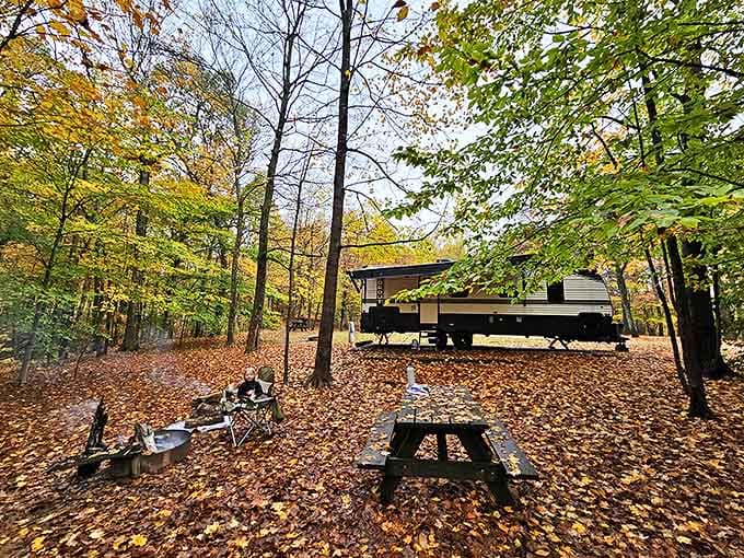 Fall camping: where the ground is carpeted in nature's confetti and every breath feels like inhaling pure possibility.