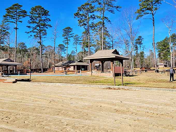 Rustic pavilions nestled among towering pines offer respite from the sun. Picnic tables where memories taste better than the food.