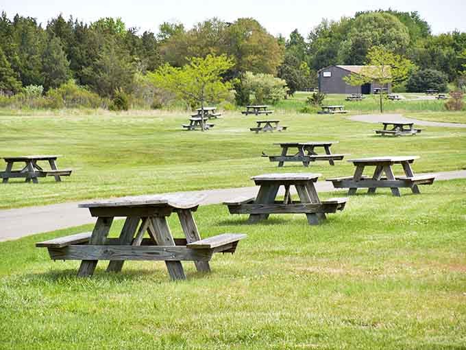 These picnic tables aren't just furniture&mdash;they're front-row seats to family memories waiting to be made, complete with ocean breezes.
