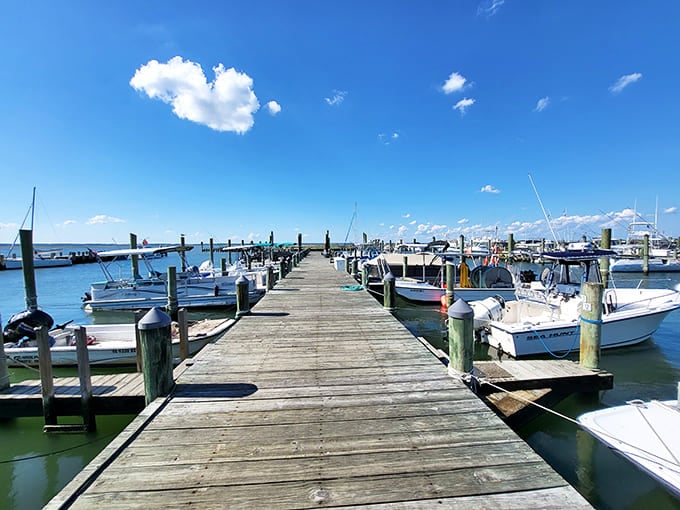 A wooden pier lined with fishing boats&mdash;each one representing someone's livelihood and passion. The sea provides here, just as it has for generations.
