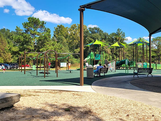 Childhood joy meets towering pines at this playground where kids can burn energy while parents enjoy nature's version of a coffee break.