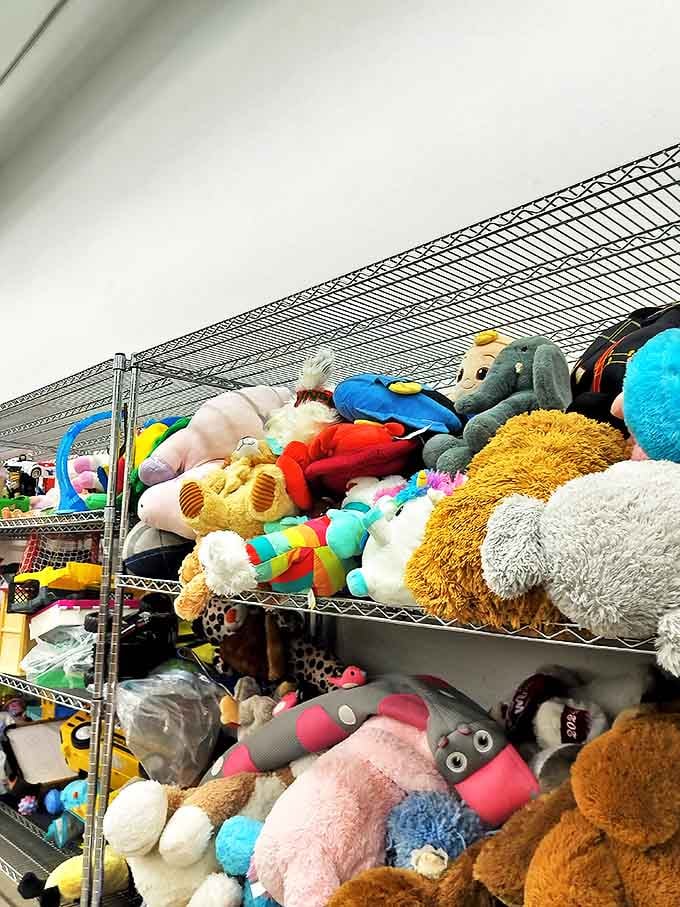 The stuffed animal section resembles a cuddly Mount Everest. Someone's forgotten teddy is about to become another child's best friend.