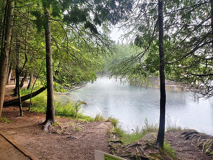 Misty waters and pine sentinels create the perfect backdrop for contemplating life's big questions or just your lunch options.