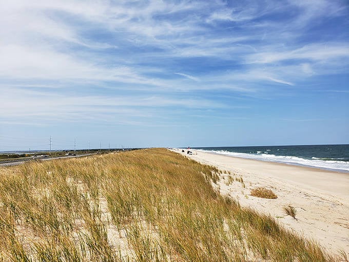 Dune grasses dance in the coastal breeze while the beach stretches toward infinity. This is what desktop wallpapers aspire to be when they grow up.