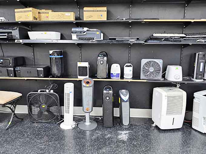 The small appliance graveyard, where fans and air purifiers await resurrection. That tower fan could be cooling your home office by this afternoon!