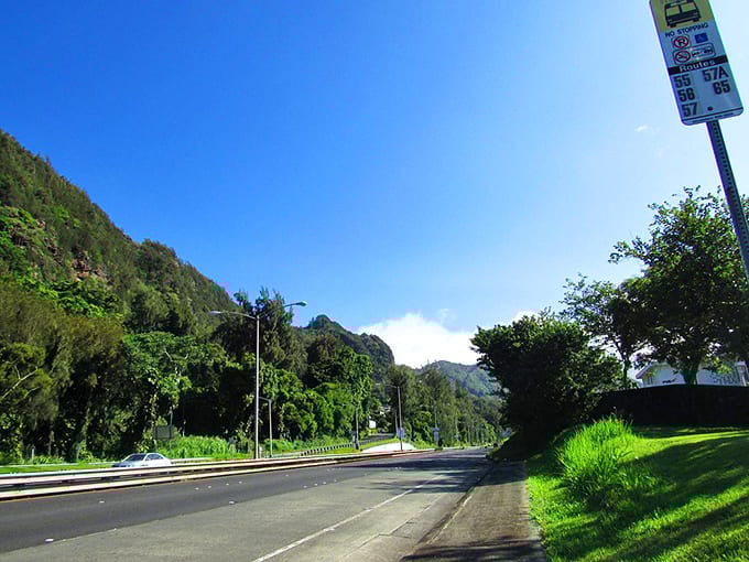 The lush mountain backdrop transforms an ordinary stretch of road into a scene so beautiful it belongs on the cover of a retirement brochure.