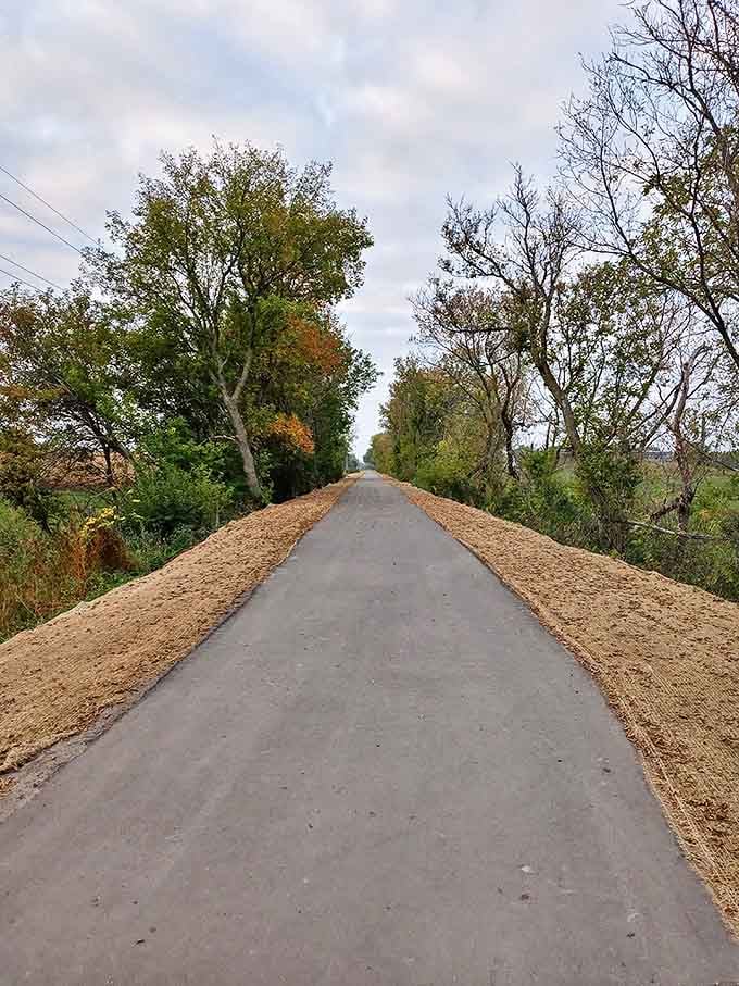 Fairmont's trail system provides peaceful pathways through nature &ndash; no expensive gym membership required for your daily constitutional.