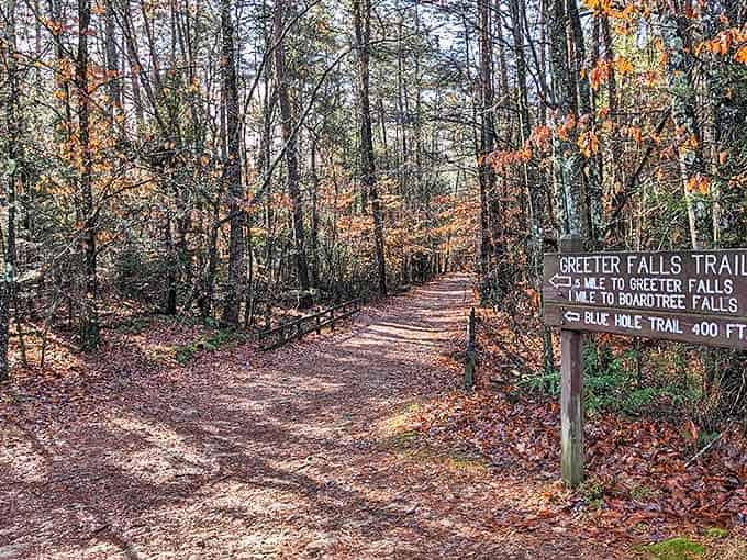 Fall's paintbrush transforms this trail into a golden pathway. The sign points to waterfalls, but the journey itself is half the reward.