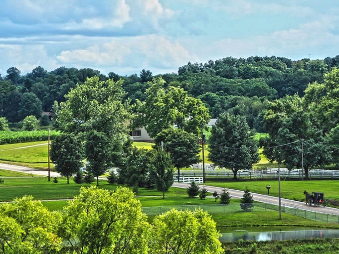 Apple Creek's countryside unfolds like nature's own masterpiece, painted in shades of green and gold.