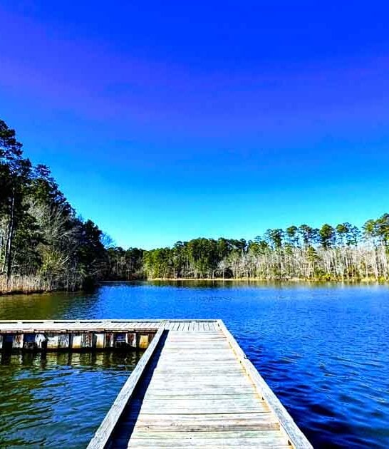 amazing louisiana state park ftr