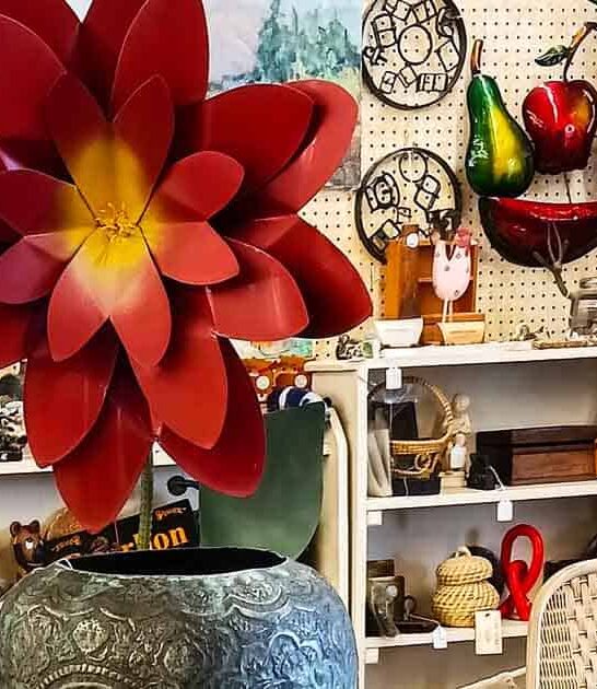 antique arizona store gigantic ftr