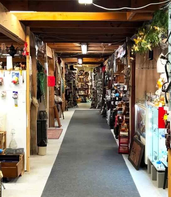 antique maine store huge ftr