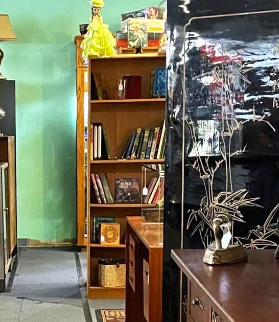 antique new mexico enormous ftr