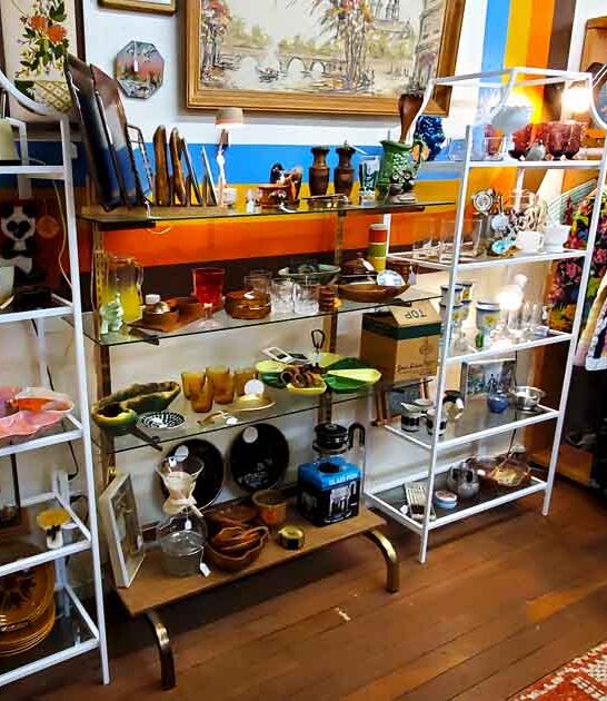 antique store browsing montana ftr