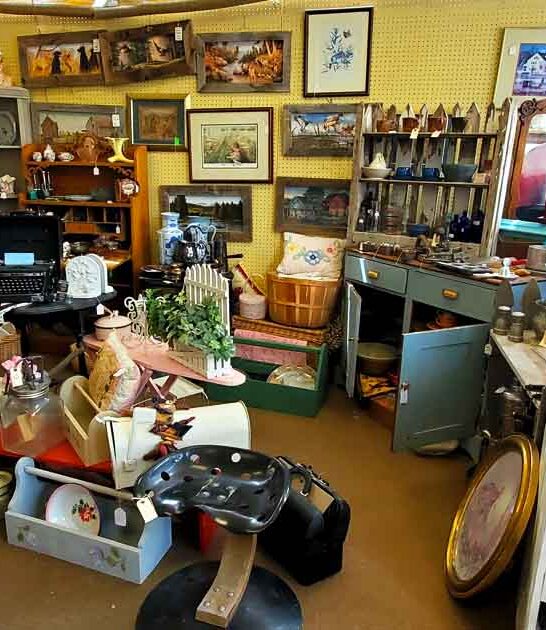 antique store montana collectors ftr