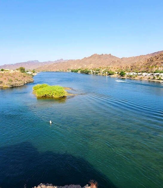 arizona unreal beauty park ftr