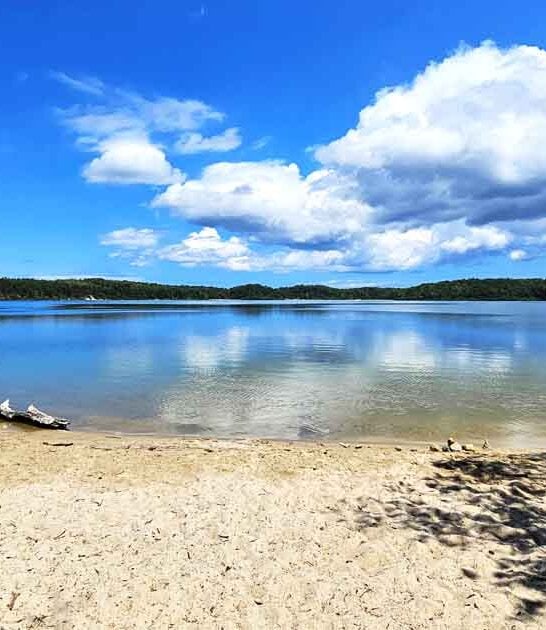 beautiful park massachusetts state ftr