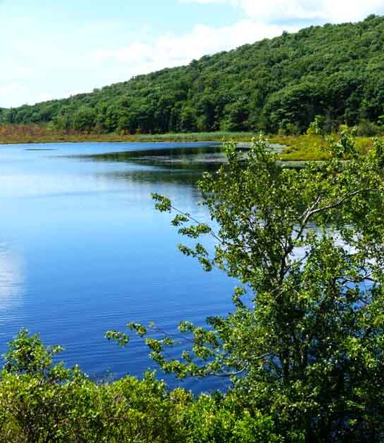 beautiful park new york ftr