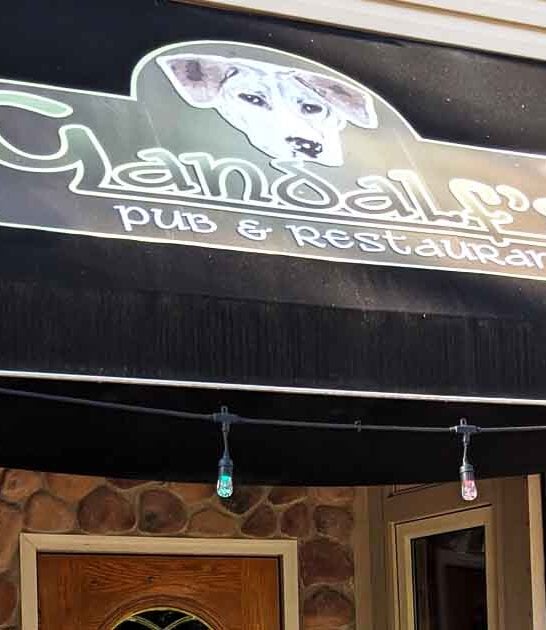 beef stroganoff ohio ftr