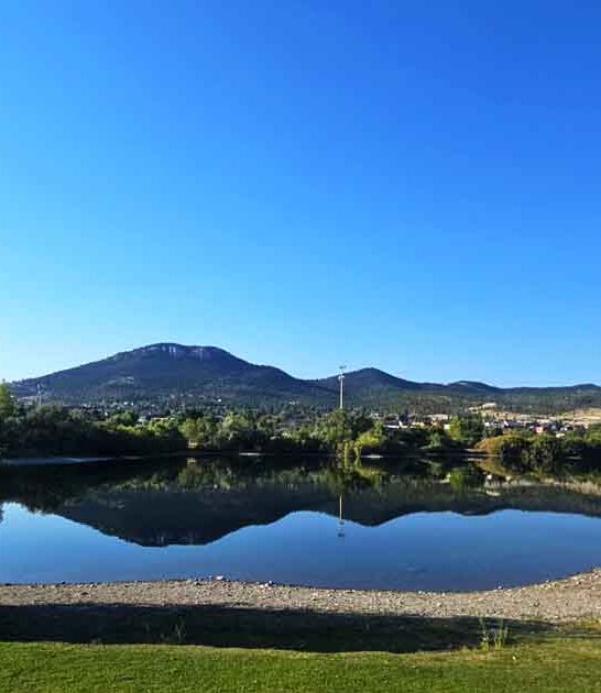 budget friendly park montana ftr