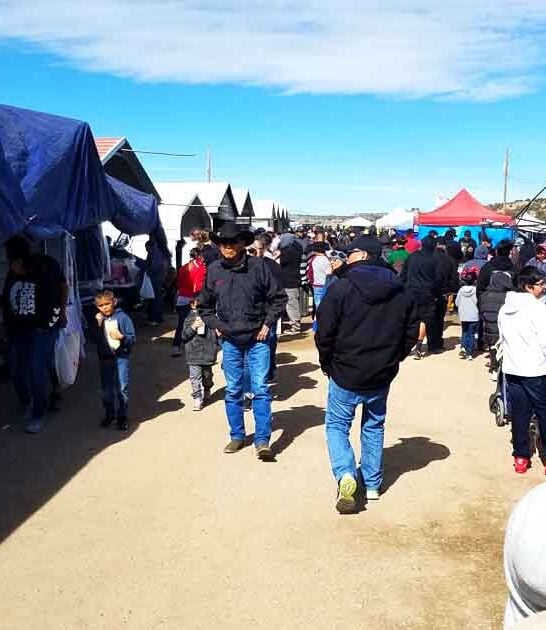 cheap deals new mexico ftr