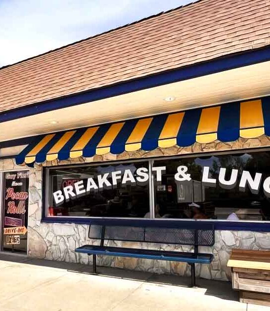 chicken waffles diner idaho ftr