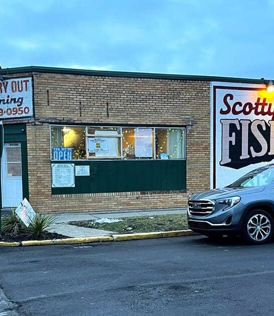 chips fish famous michigan ftr