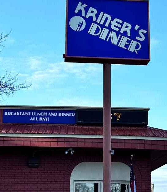 cinnamon roll alaska diner ftr