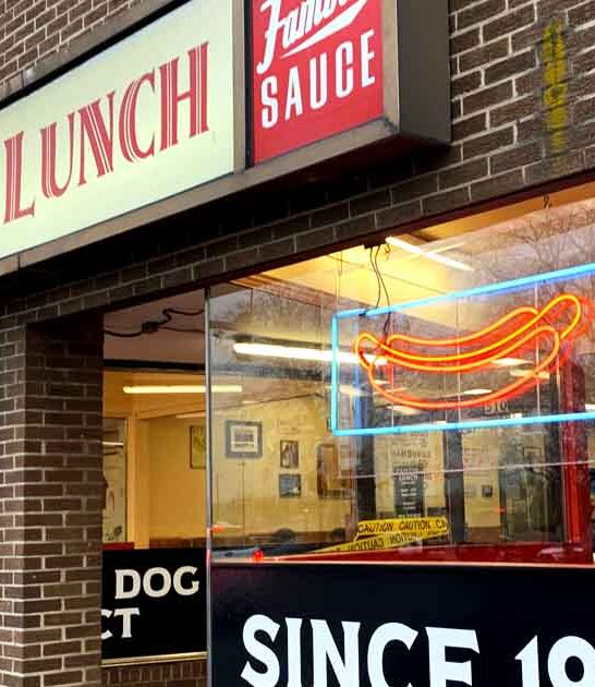 connecticut hot dog legend ftr