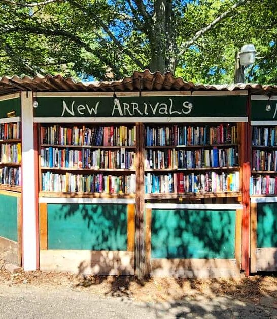 connecticut whimsical bookstore ftr